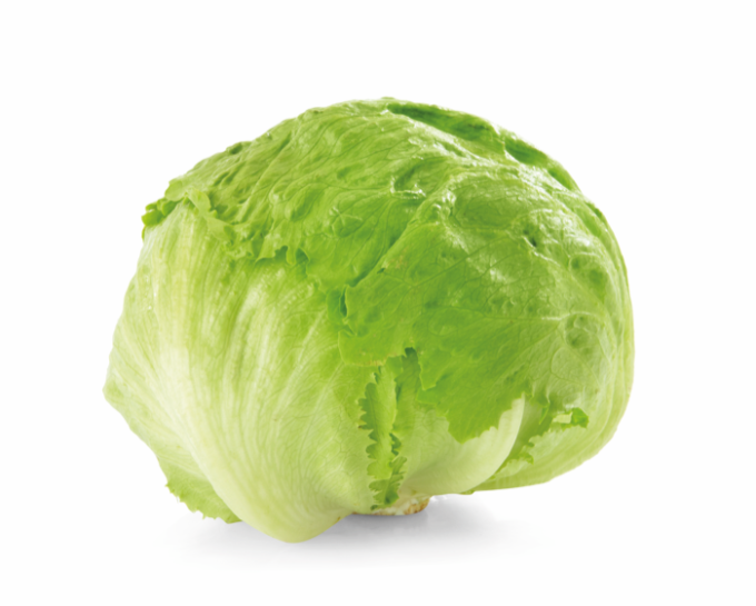 IJsbergsla krop - Groente fruit en aardappelen online bestellen